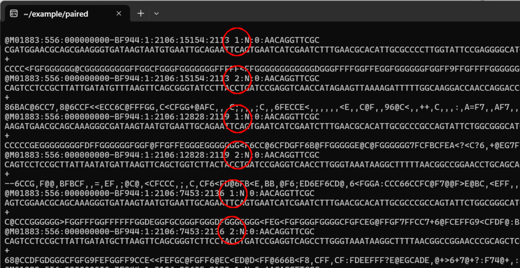 Know Your Sequences - John Quensen