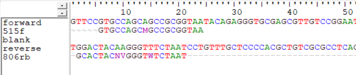 Trimming Primers - John Quensen