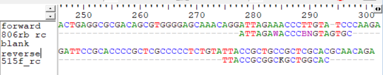 Trimming Primers - John Quensen